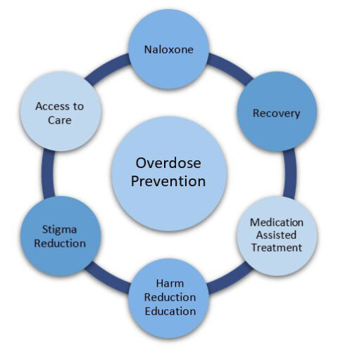 Overdose Prevention Committee | Student Osteopathic Medical Association ...